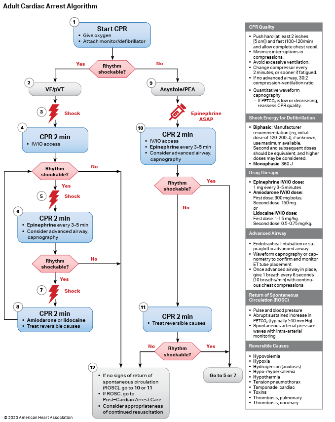 4. Paro cardiorrespiratorio y reanimación Cardiopulmonar – Síntesis de ...